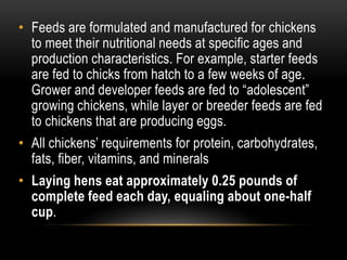 Feeds and Feeding.pptx