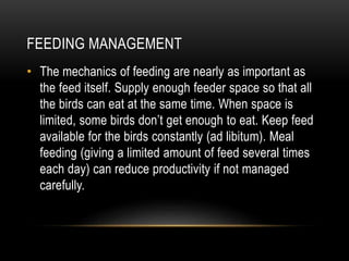 Feeds and Feeding.pptx