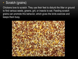 Feeds and Feeding.pptx