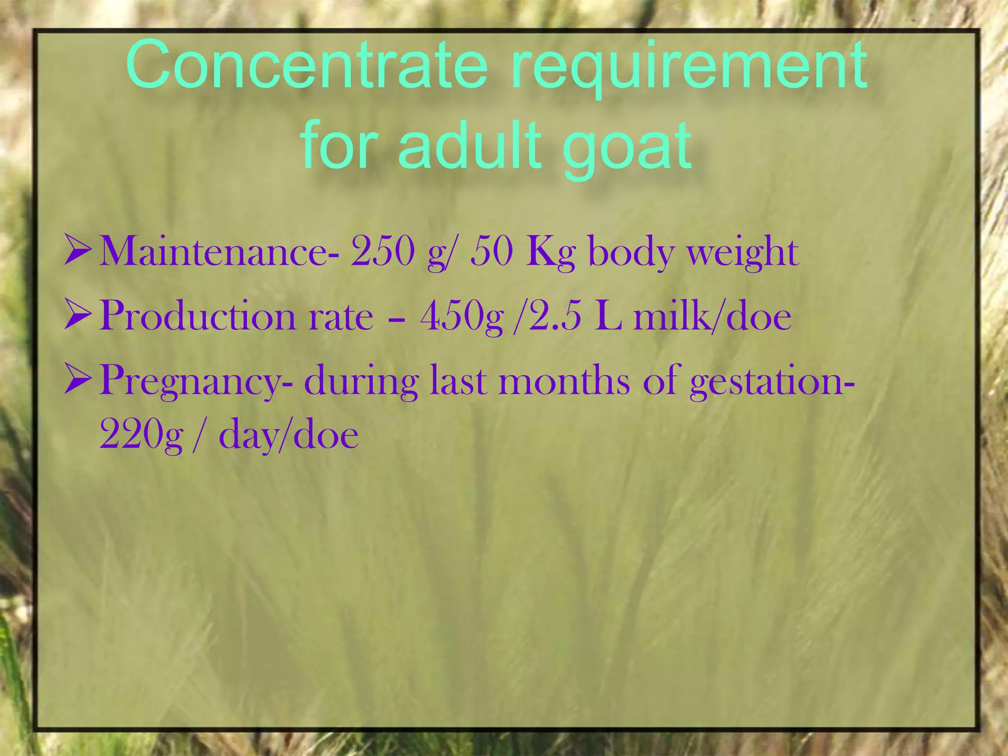 Feeds & Feeding Management Of Goats1 | PPTX