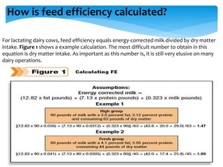 Feed storage and feed evaluation | PPTX