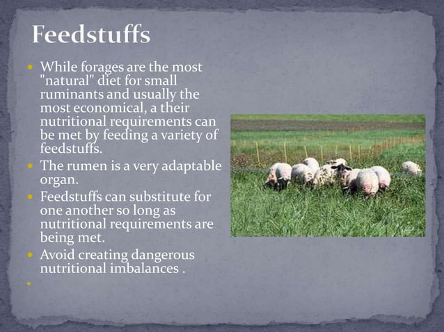 Feedstuffs | PPT