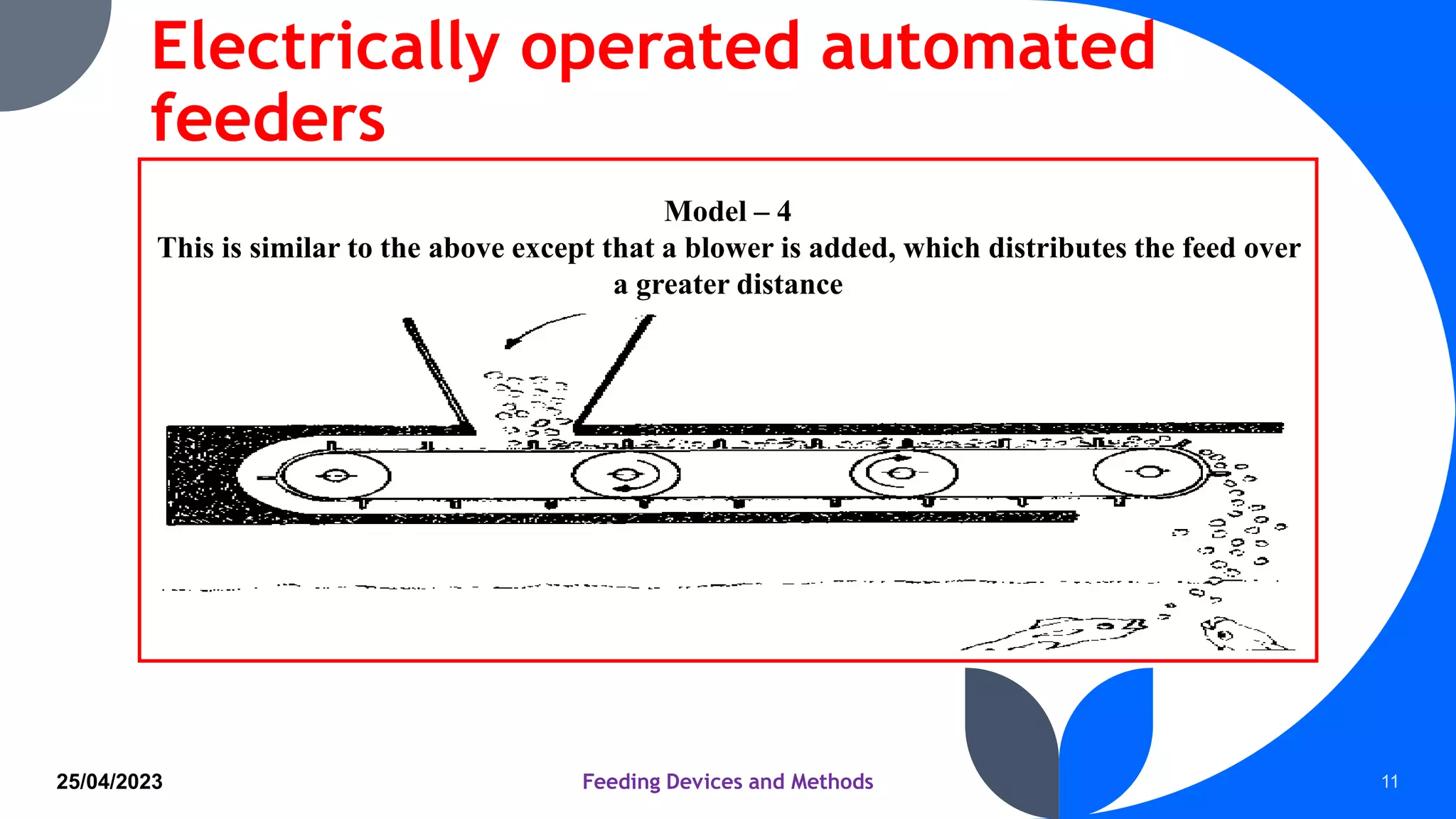 Fish Feeding device and methods , Feed technology.pptx