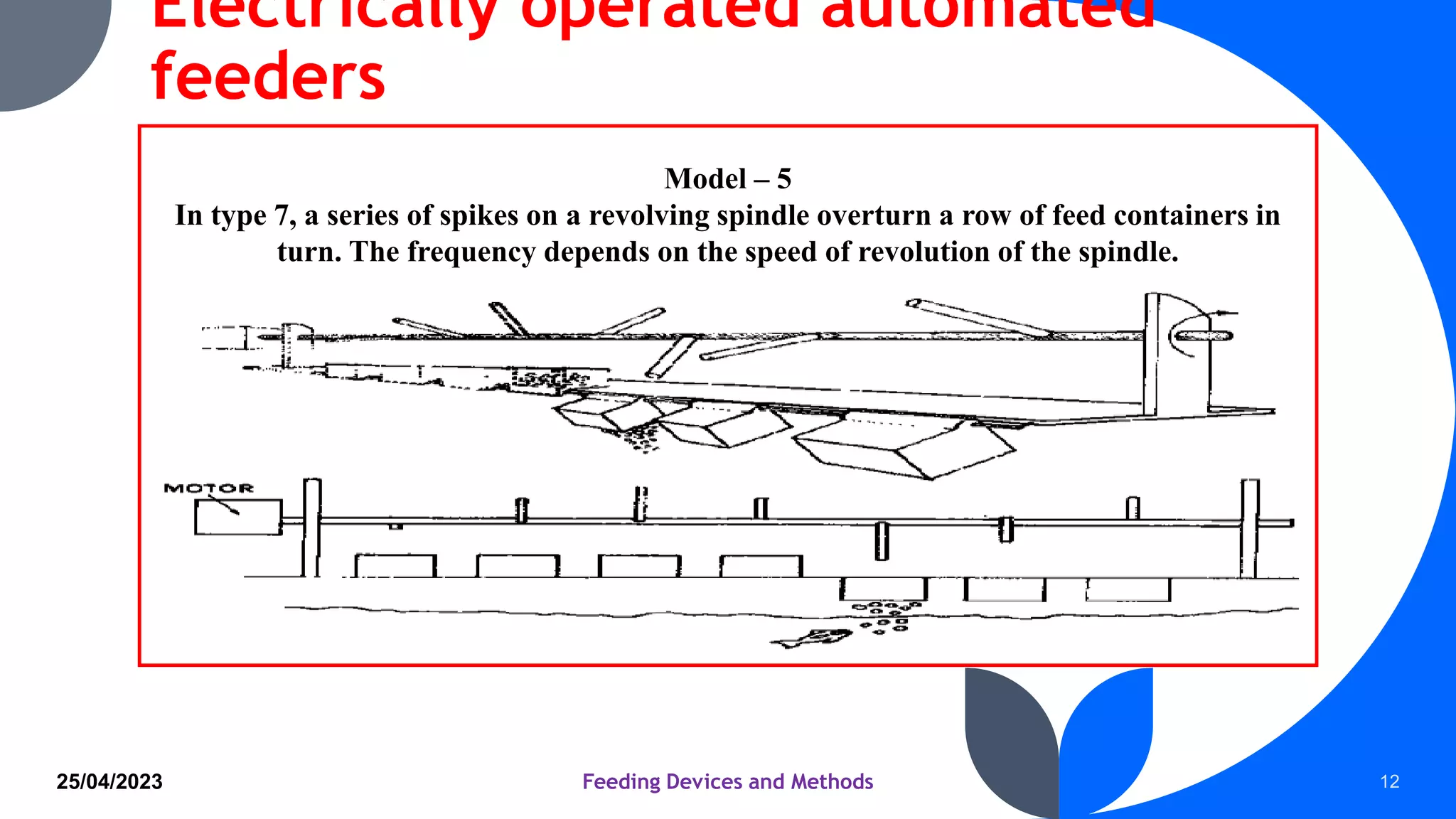 Fish Feeding device and methods , Feed technology.pptx