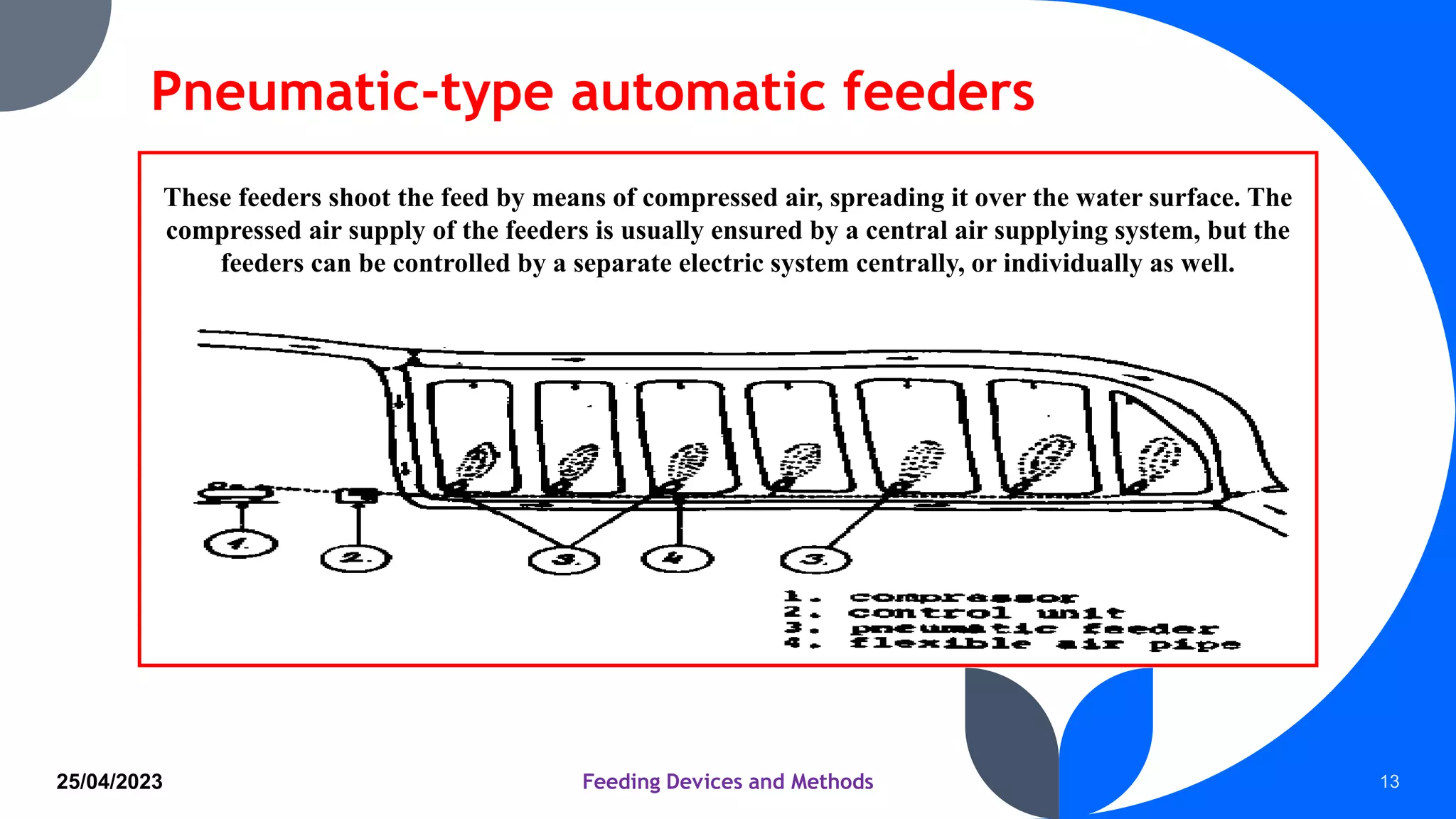 Fish Feeding device and methods , Feed technology.pptx