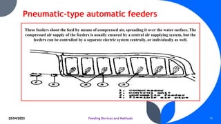 Fish Feeding device and methods , Feed technology.pptx