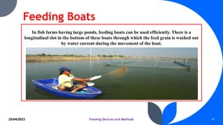 Fish Feeding device and methods , Feed technology.pptx