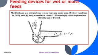Fish Feeding device and methods , Feed technology.pptx