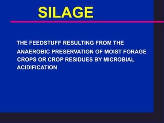 Feedtech Silage.ppt