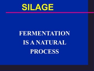 Feedtech Silage.ppt