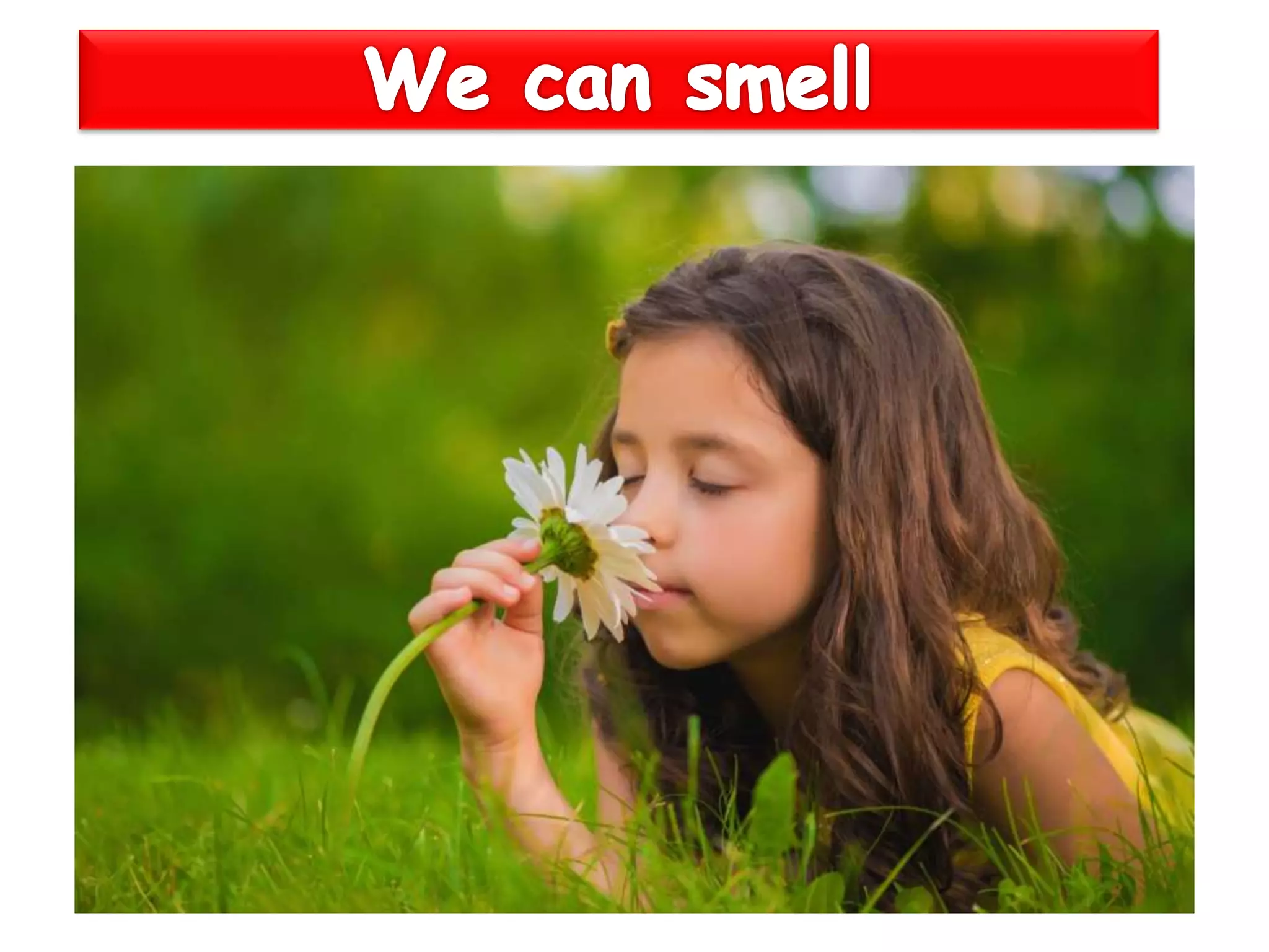 Feelings and 5 senses - Year 1 | PPTX