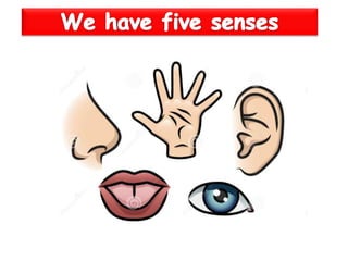 Feelings and 5 senses - Year 1 | PPTX