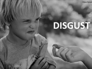 Feelings and emotions | PPT