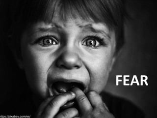 Feelings and emotions | PPT