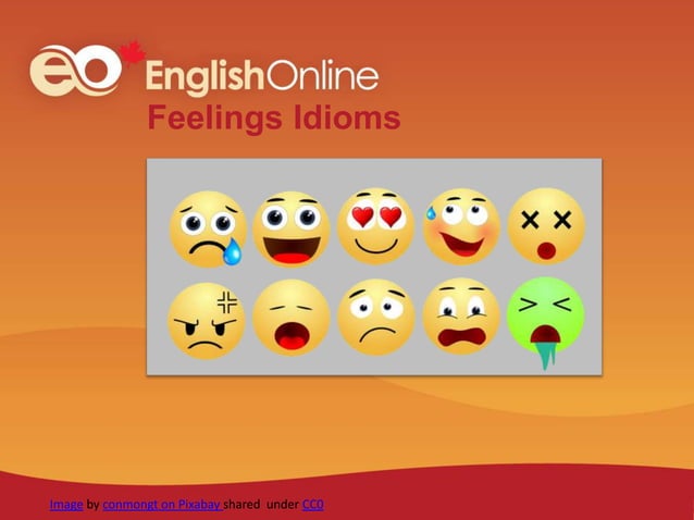 Feelings idioms | PPT