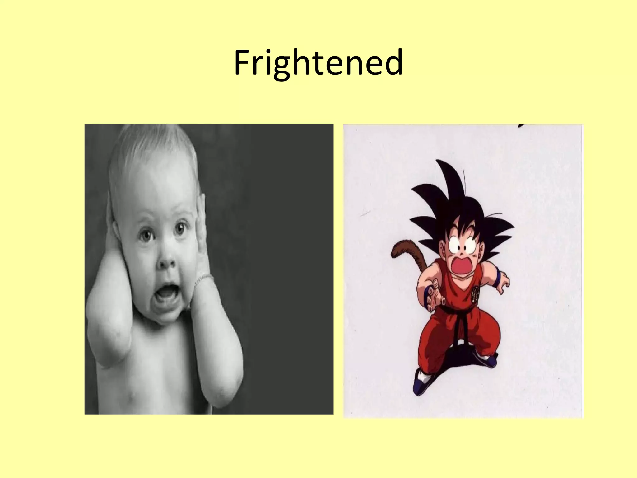 Feelings | PPT