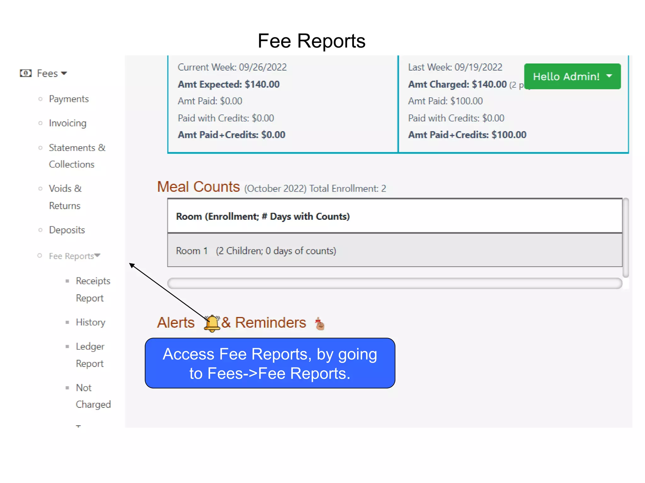 Fees Statements and Reports.ppt