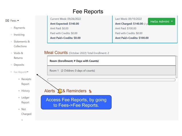 Fees Statements and Reports.ppt | Business and Finance