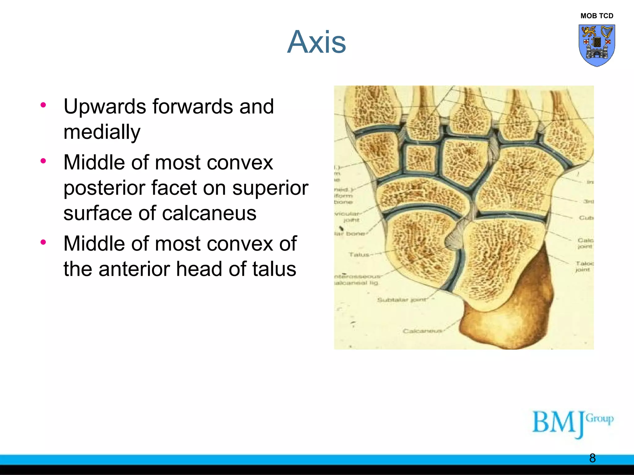 Anatomy of Feet | PPT