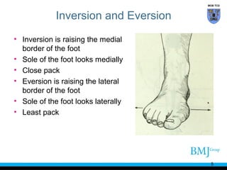 Inversion Anatomy