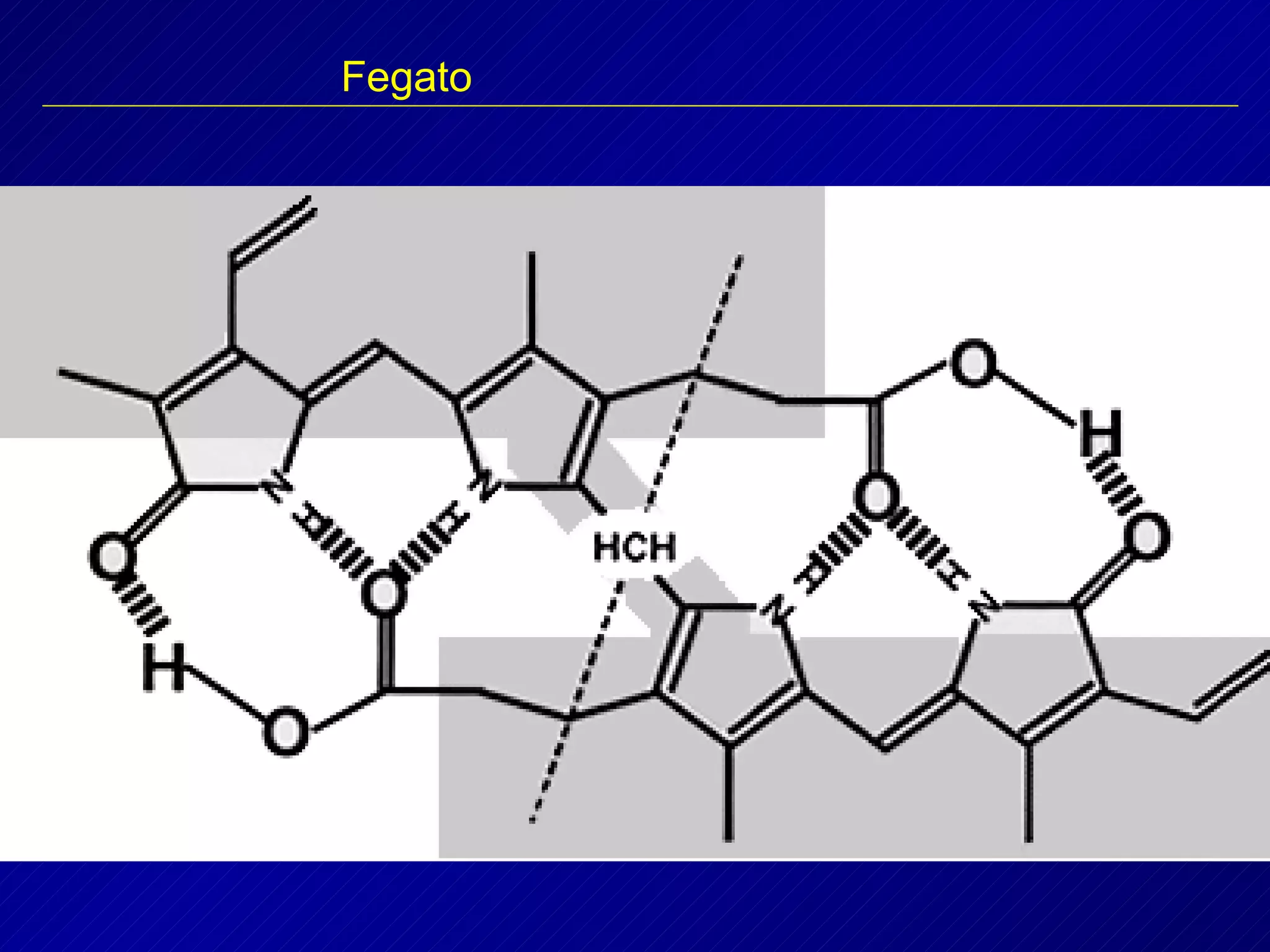 Fegato Anatomia E Fisiologia | PPT