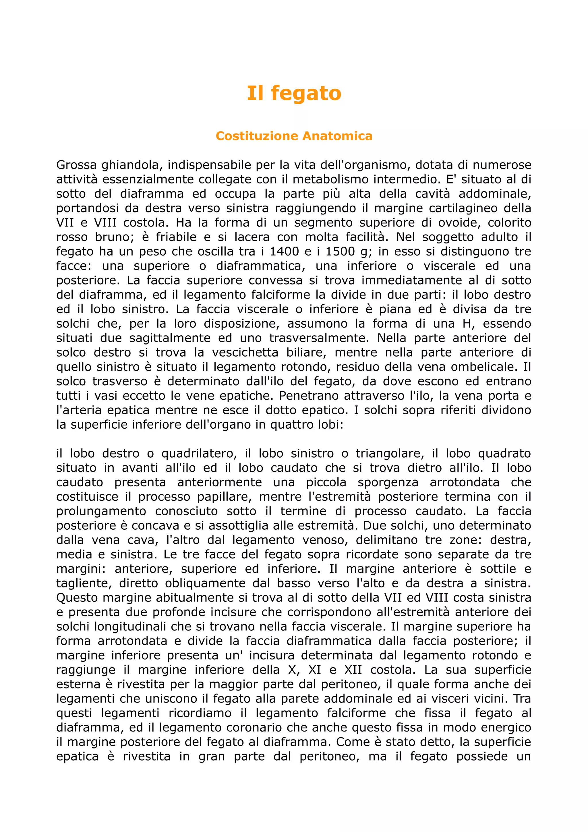 Anatomia del fegato | PDF