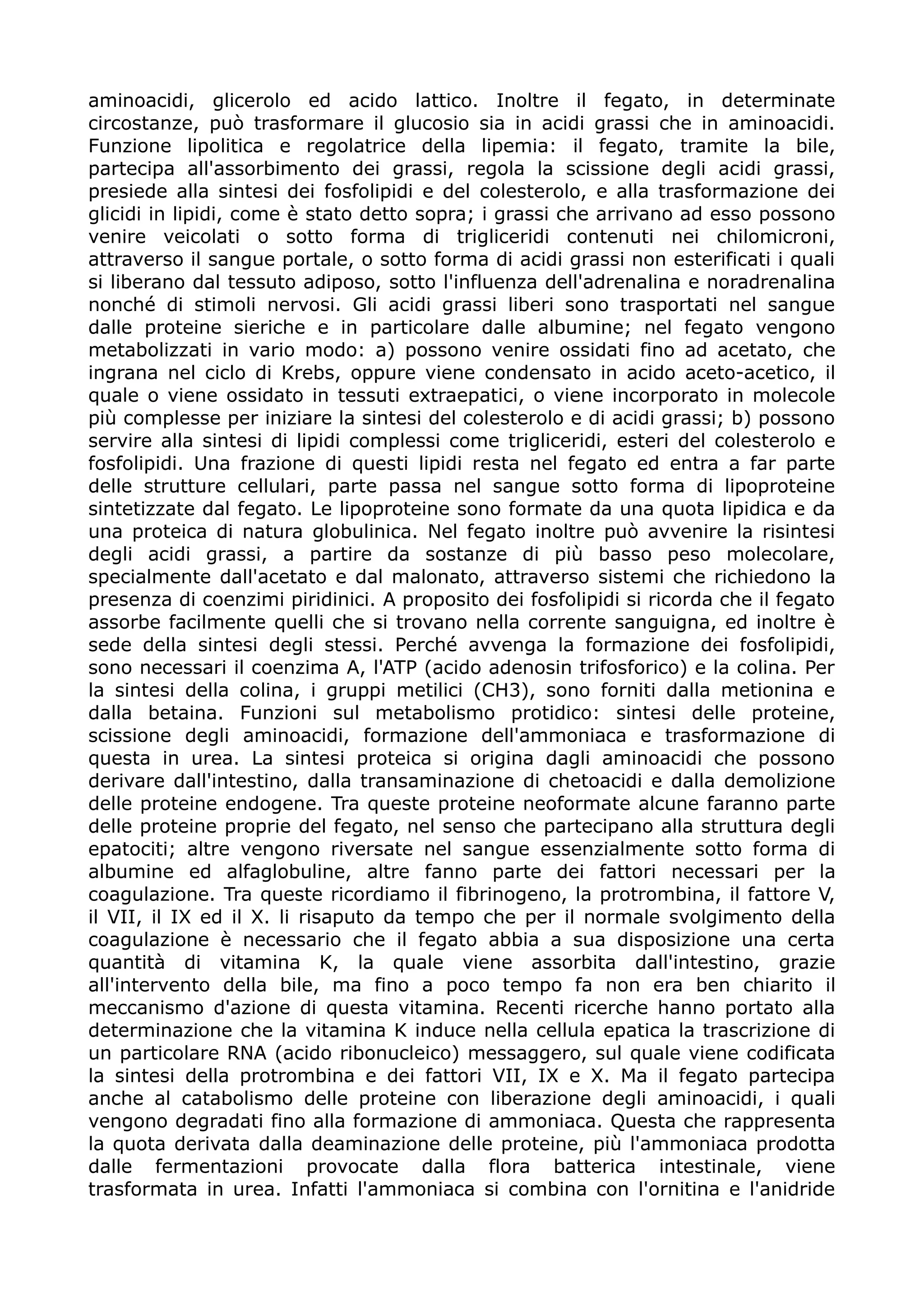 Anatomia del fegato | PDF