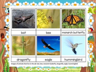 Demo presentation_Identifying_animals.pptx