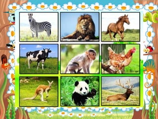 Demo presentation_Identifying_animals.pptx