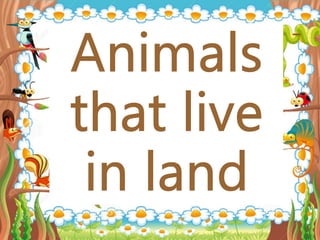 Demo presentation_Identifying_animals.pptx