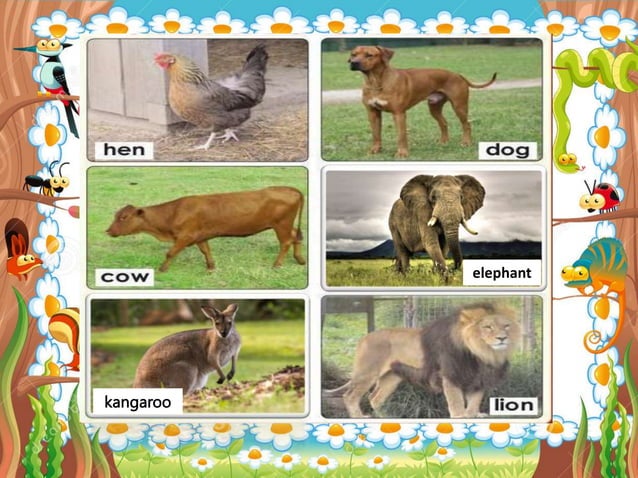 Demo presentation_Identifying_animals.pptx