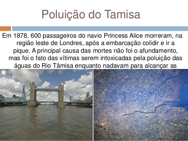 Feira de ciências Rio Tamisa