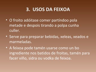 Feixoa | PPT