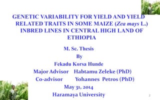 Genetic Variability for yield in Maize (Zea mays l.) inbred lines | PPT