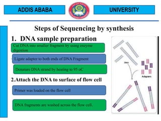 Illumina (sequencing by synthesis) method | PPTX