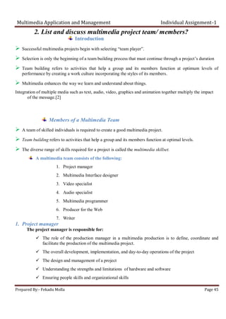 Multimedia | PDF