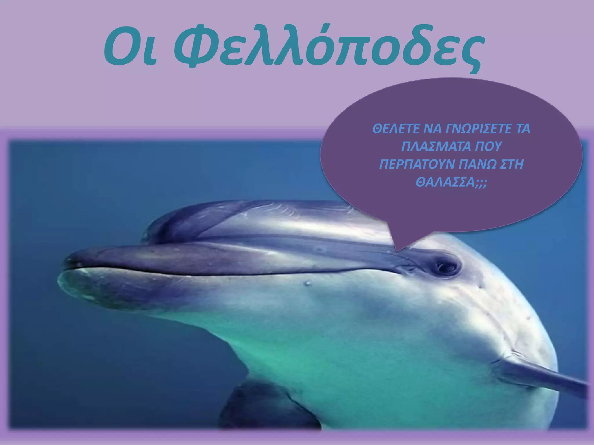 Οι Φελλόποδες | PPTX