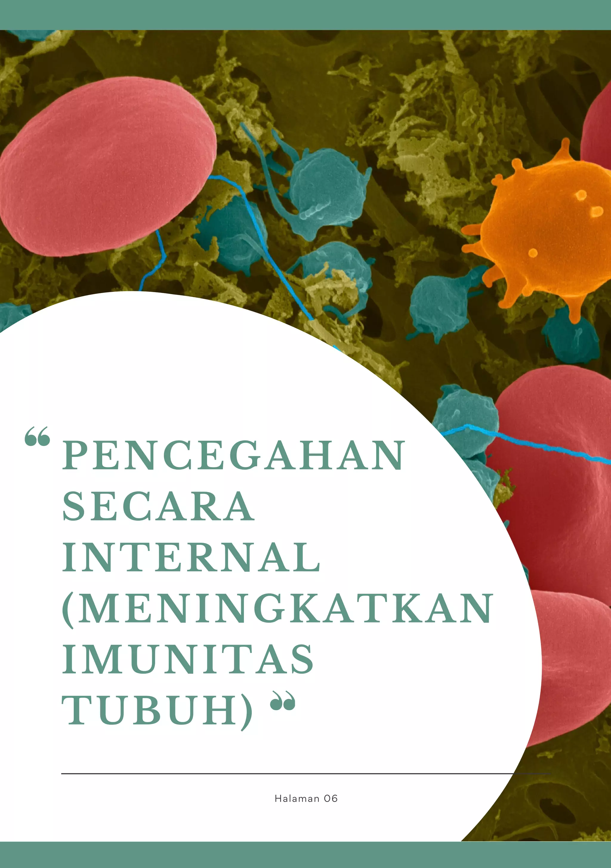 Felicia tata cara pola hidup sehat di tengah pandemi | PDF