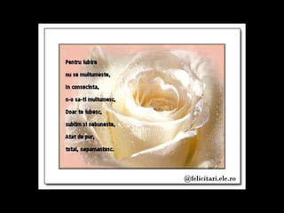 Felicitari | PPT