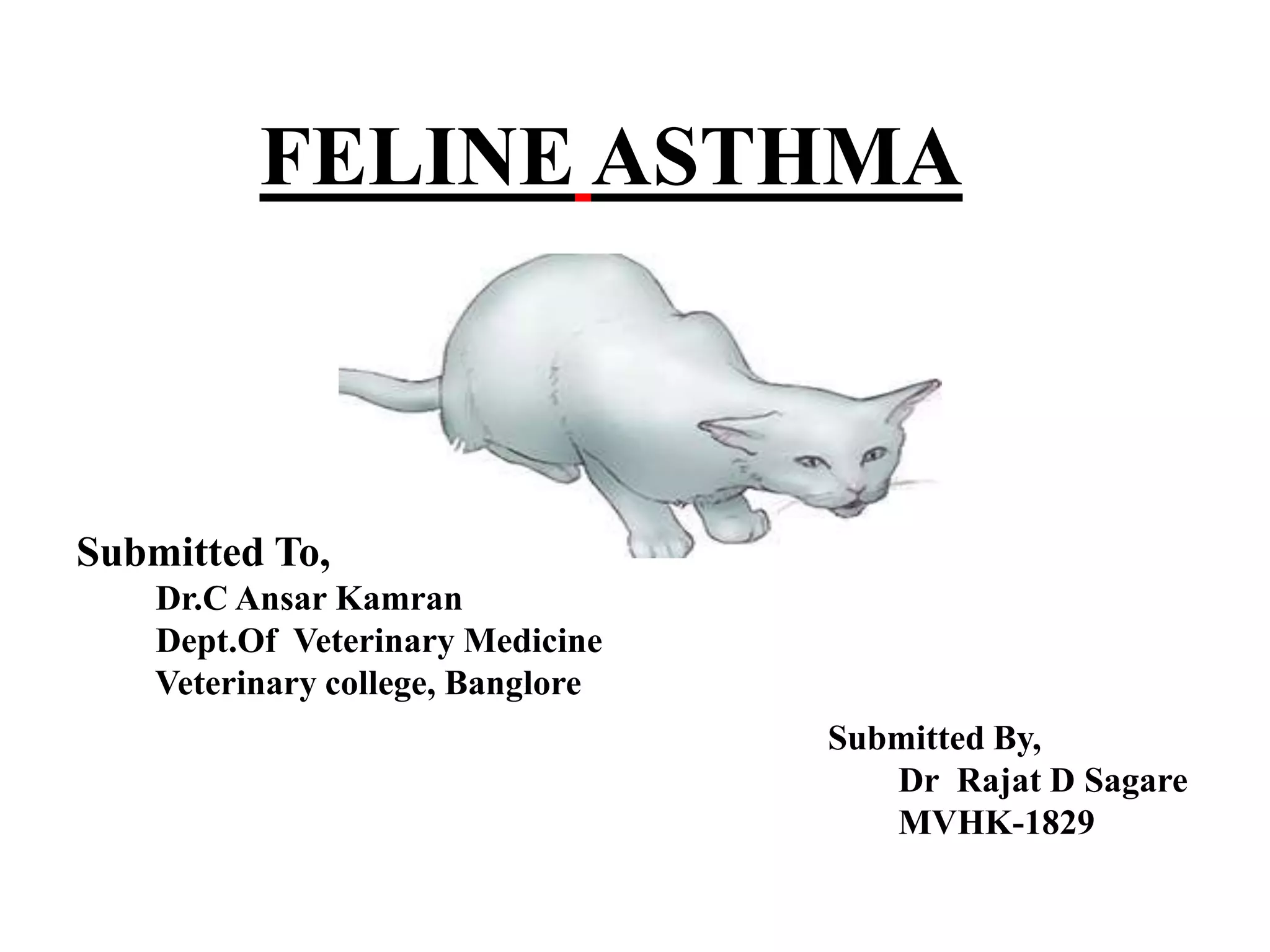 Feline Asthma Treatment and Diagnosis | PPT Feline Asthma Treatment and Diagnosis | PPT