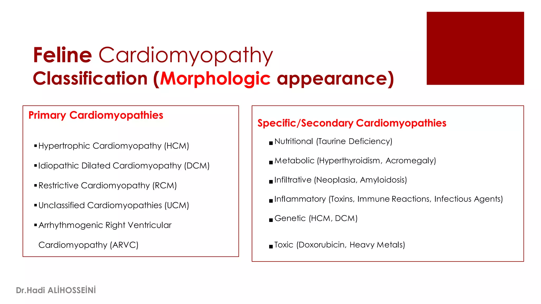Feline Cardiomyopathy | PDF