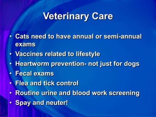 Feline_Healthcare.ppt | Veterinary Medicine | Pets