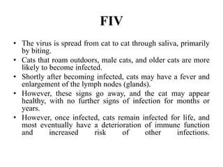 Feline Immunodeficiency .pptx