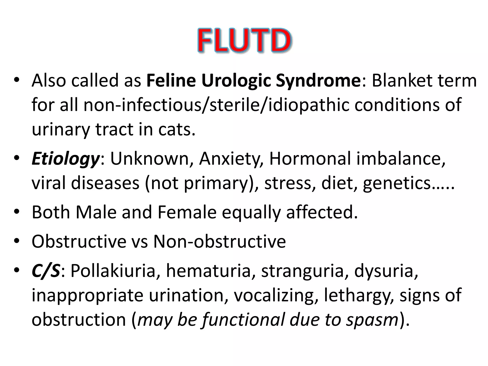 Feline lower urinary tract disease | PDF