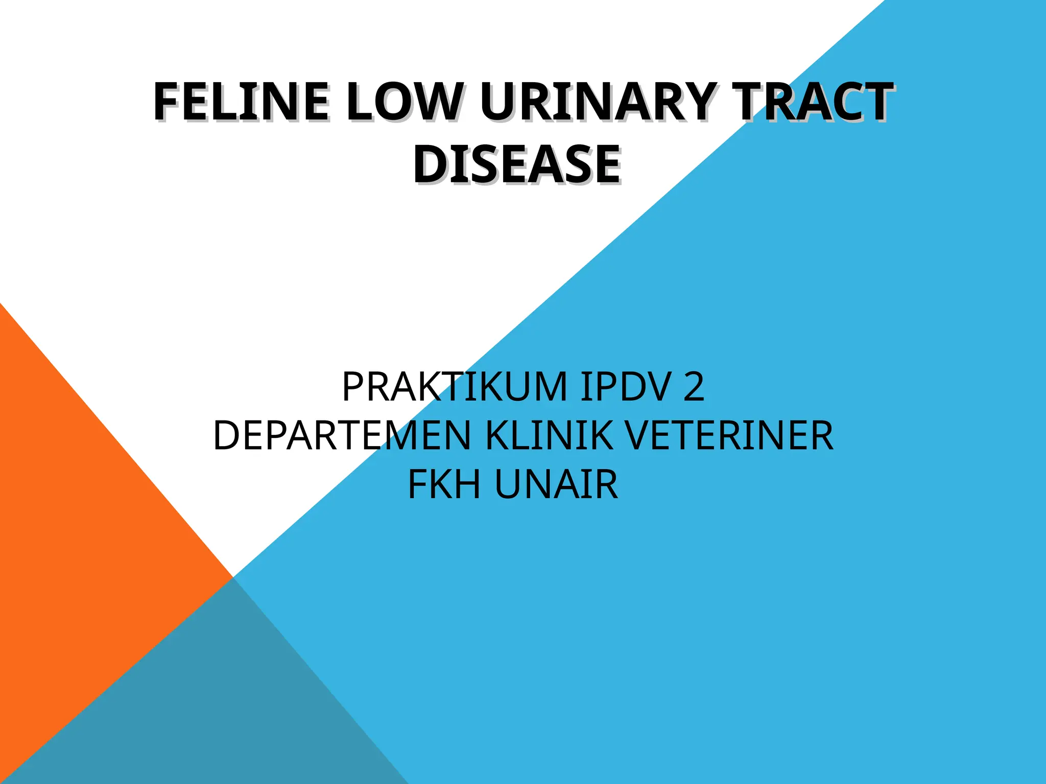 FELINE LOWER URINARY TRACT DISEASE kucing | PPT