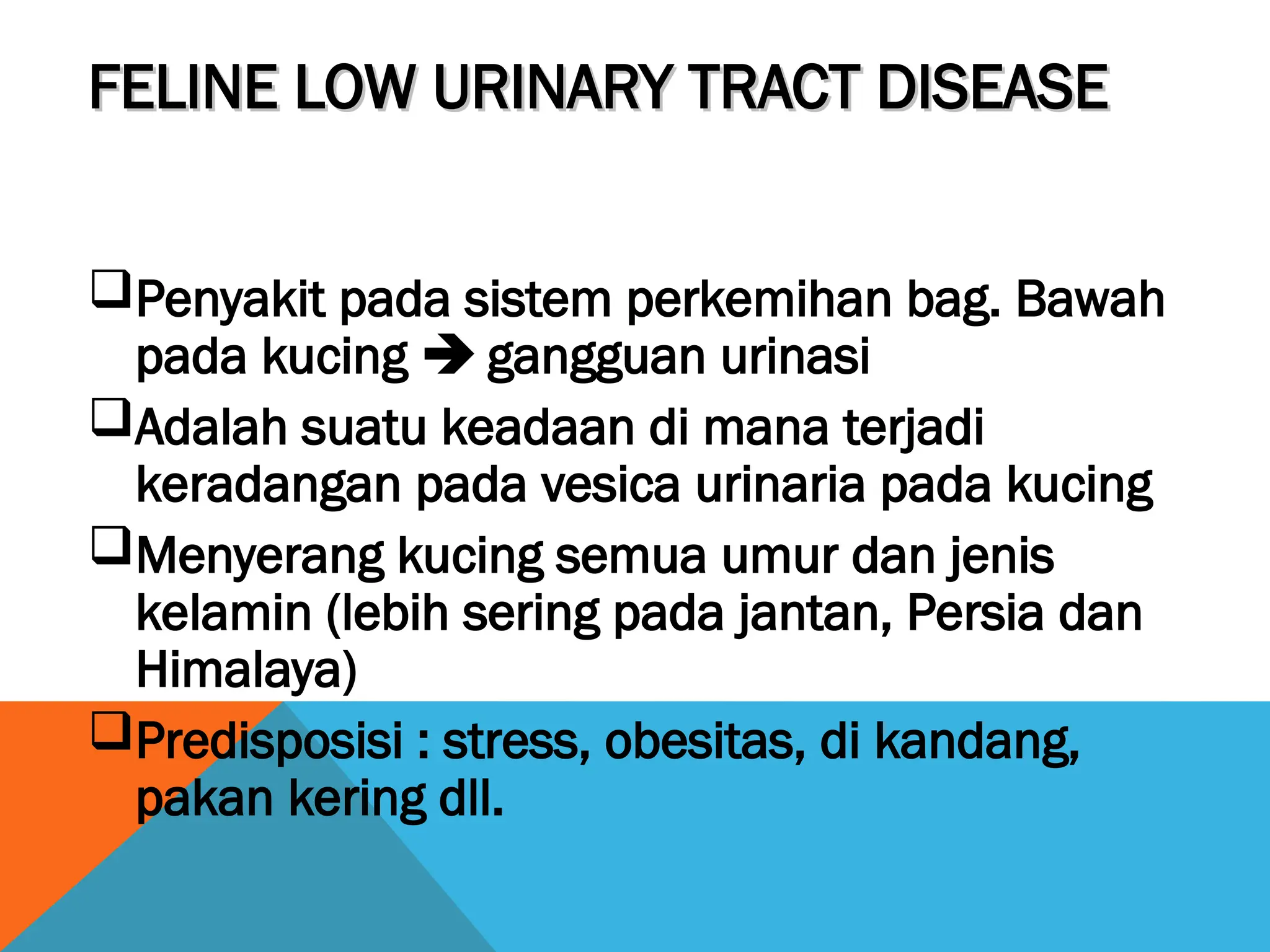 FELINE LOWER URINARY TRACT DISEASE kucing | PPT