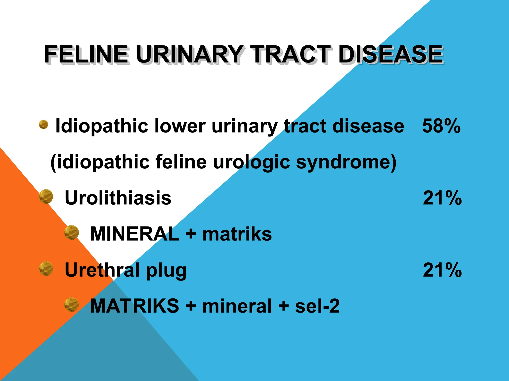 FELINE LOWER URINARY TRACT DISEASE kucing | PPT