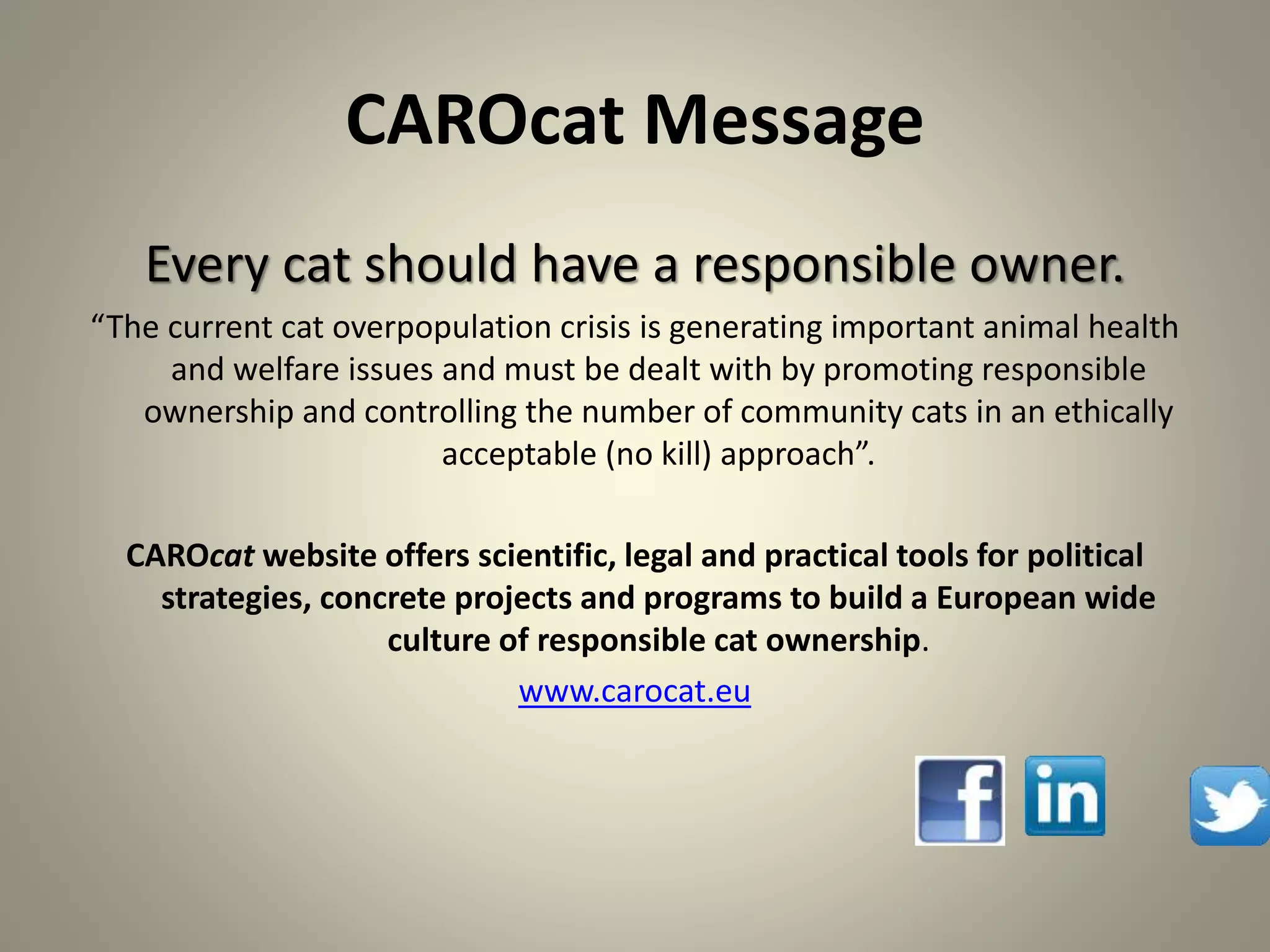 Feline overpopulation in the eu | PPTX | Cats | Pets