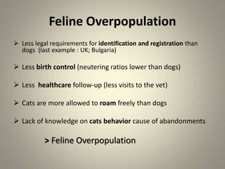 Feline overpopulation in the eu | PPTX