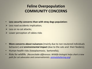 Feline overpopulation in the eu | PPTX